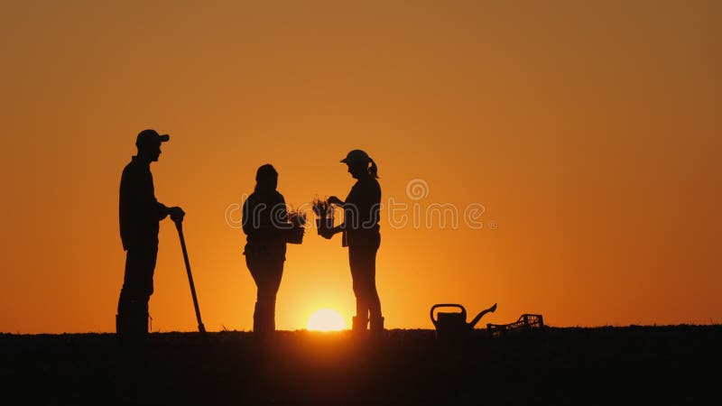 The Field Serves As the Backdrop As a Group of Farmers Communicates ...