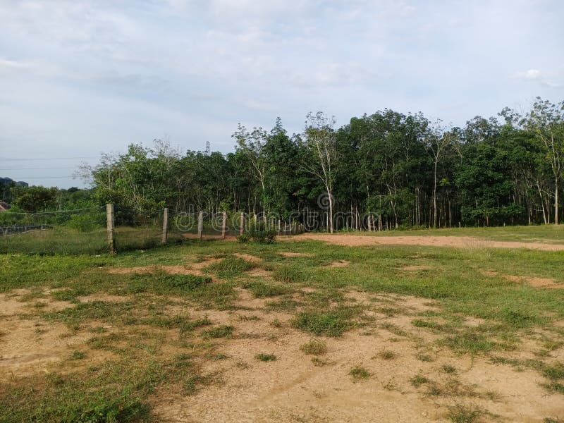 Field of site project stock image. Image of shrub, soil - 265212647