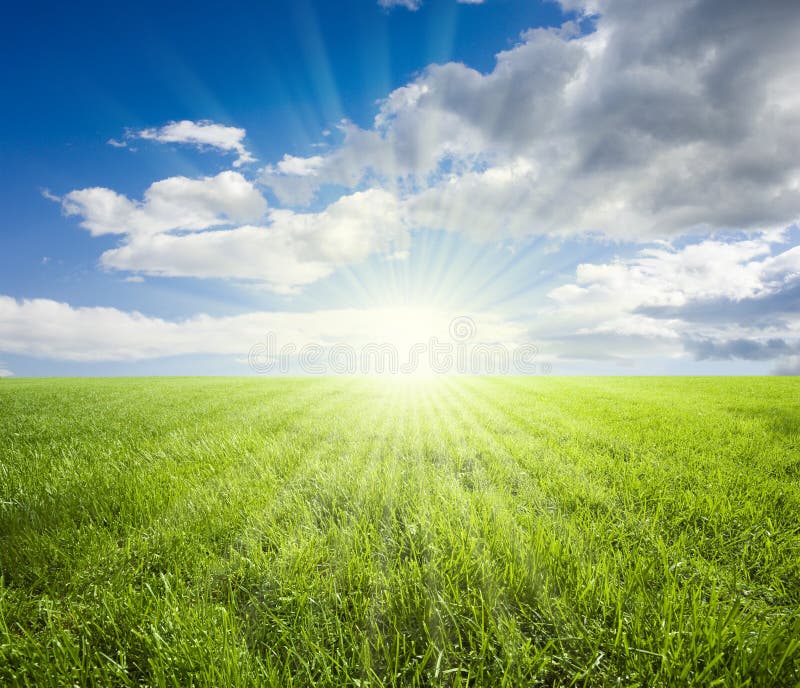 Field and sky stock image. Image of grow, country, outside - 14635733