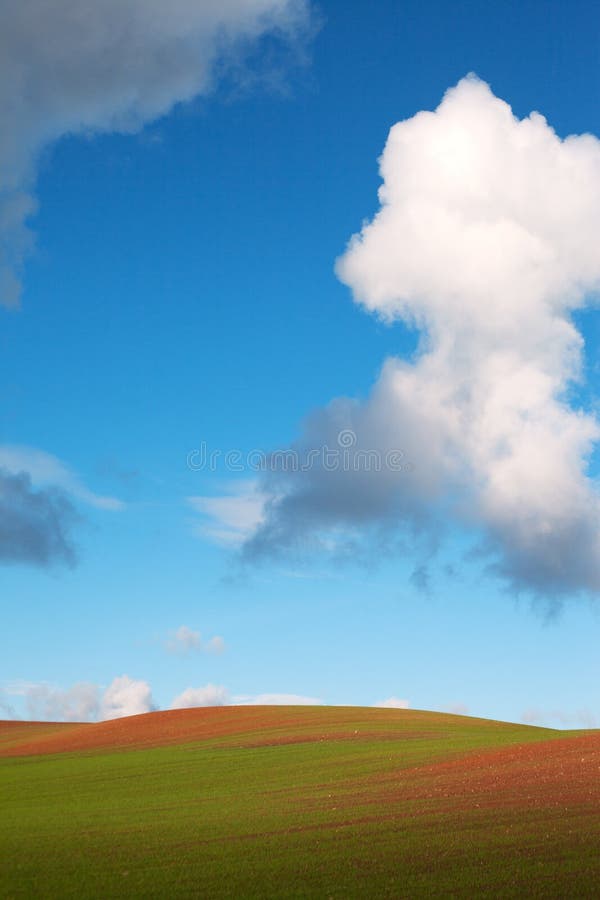 Field and sky. stock image. Image of agriculture, bright - 27108263