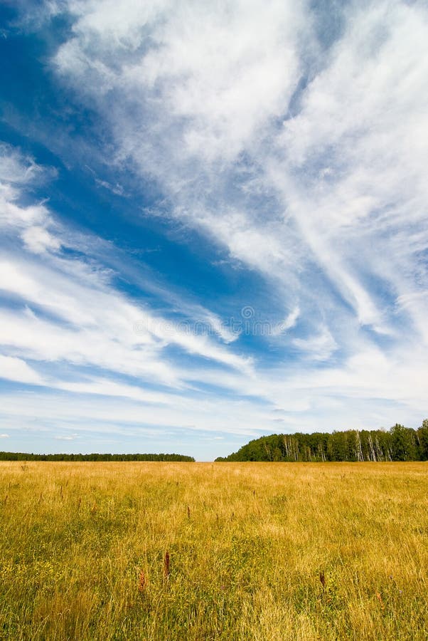 Field and sky stock photo. Image of white, forest, blue - 3560744
