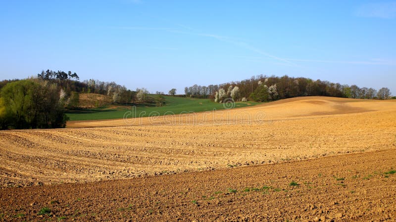 Field, Sky, Grassland, Plain Picture. Image: 115287118