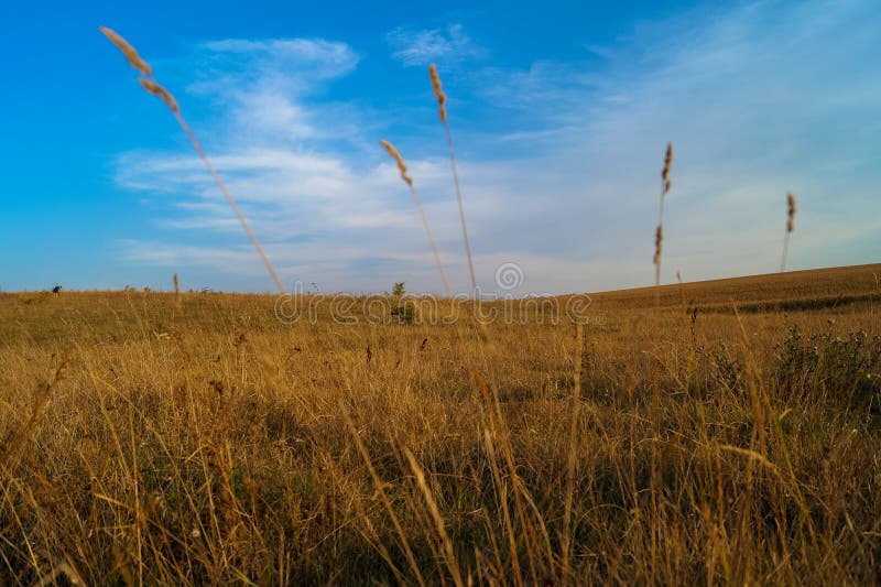 Field sky land stock photo. Image of clouds, landscape - 79750184