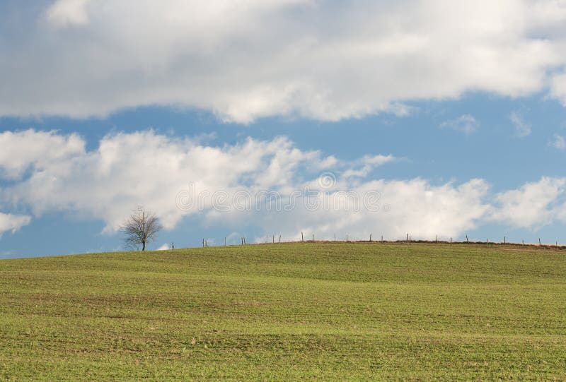 Field and Sky stock image. Image of natural, broad, bright - 47600345