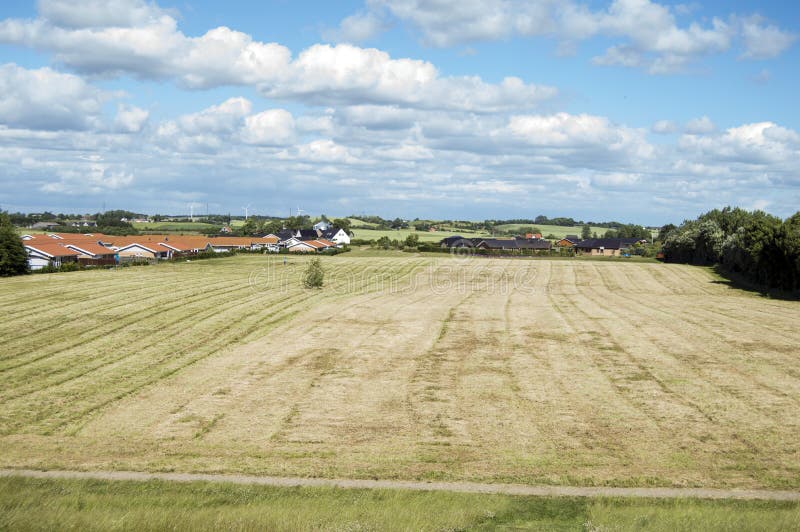 Field stock photo. Image of commercial, field, denmark - 41941710