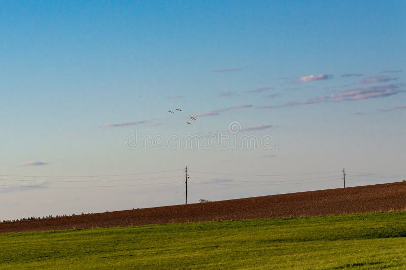 Field with a Sloping Horizon in the Countryside. Clouds in the Sky ...