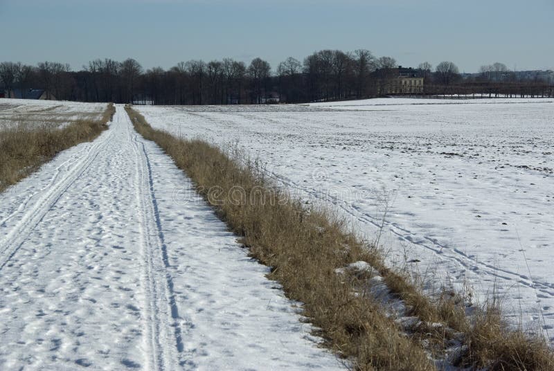 Field with snow stock photo. Image of snow, meadow, white - 12430466