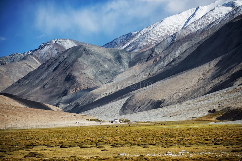 Field and Snow Mountain Range Stock Image - Image of nature, ladakh ...