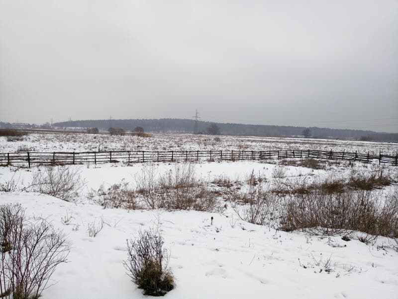 Field in the Snow in Winter Stock Image - Image of landscape, cold ...