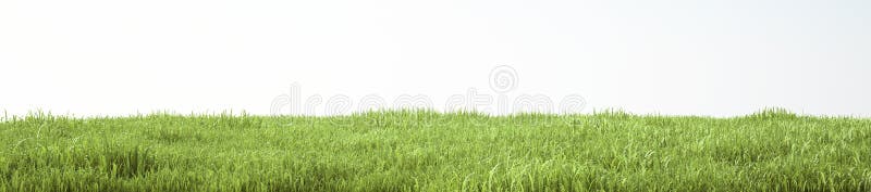 Field of Soft Grass, Perspective View with Close-up Stock Illustration ...