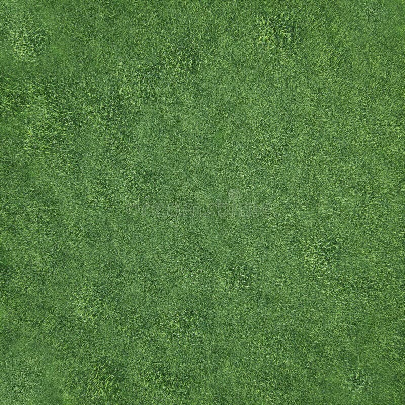 Field of Soft Grass, Top View Stock Illustration - Illustration of ...