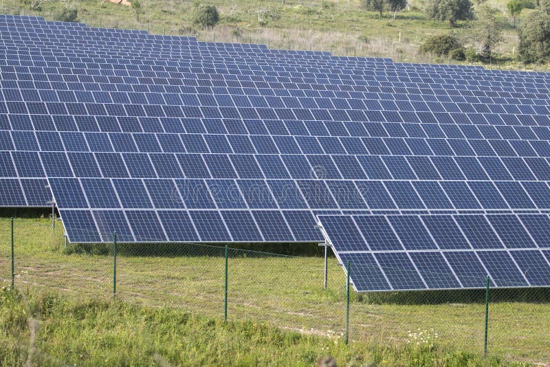 Field of solar panels stock photo. Image of environmental - 90752266