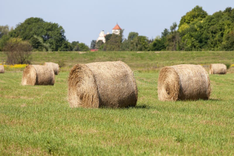 Field with Some Bundles of Hay in the Summer, Harvest Stock Image ...
