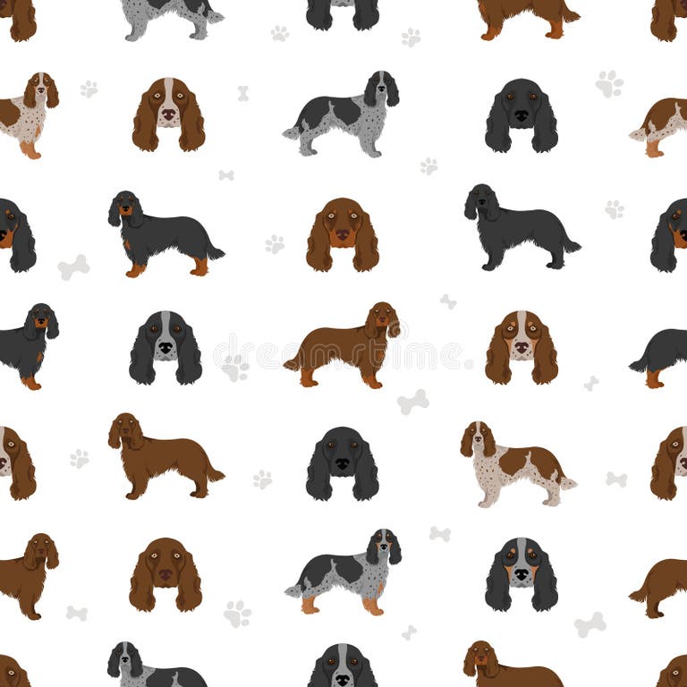 Field Spaniel Seamless Pattern. Different Poses, Coat Colors Set Stock ...