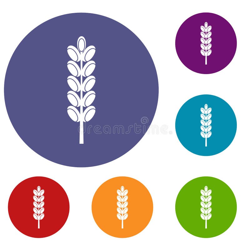 Field spike icons set stock vector. Illustration of agriculture - 96500497