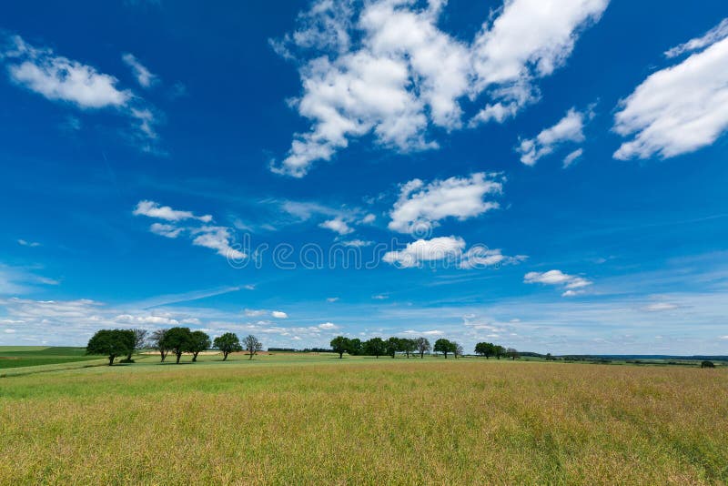Field in spring stock image. Image of grass, grassland - 20549763