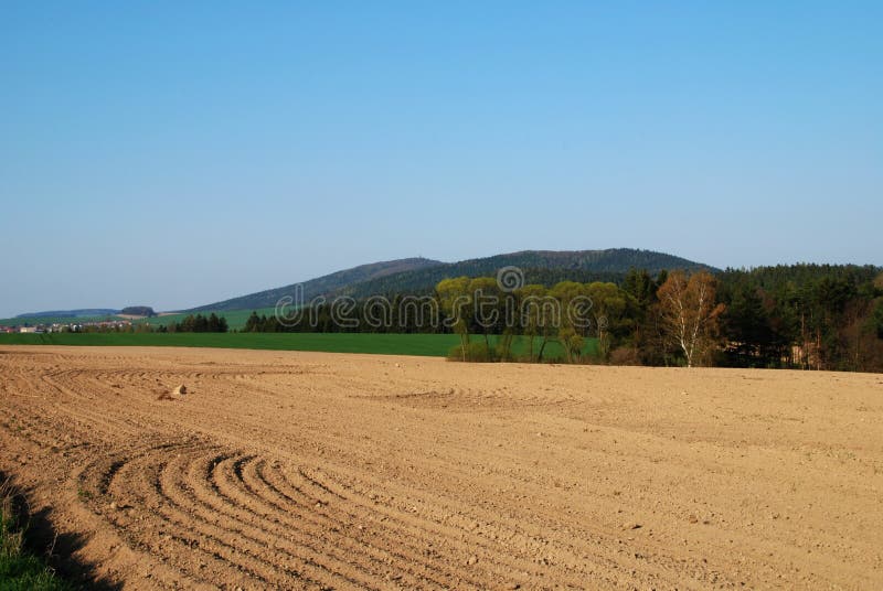 Field in the spring stock image. Image of bloom, farming - 29047669