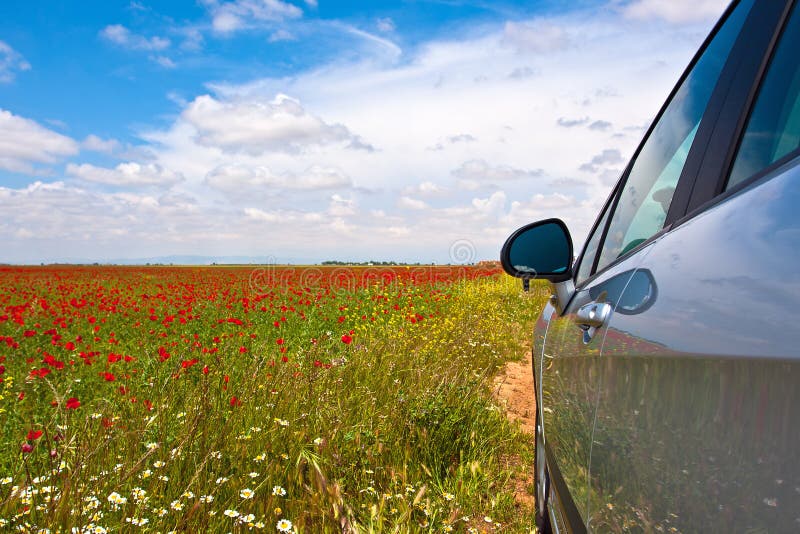 The Field of Spring Flowers and Poppies and Car Stock Image - Image of ...