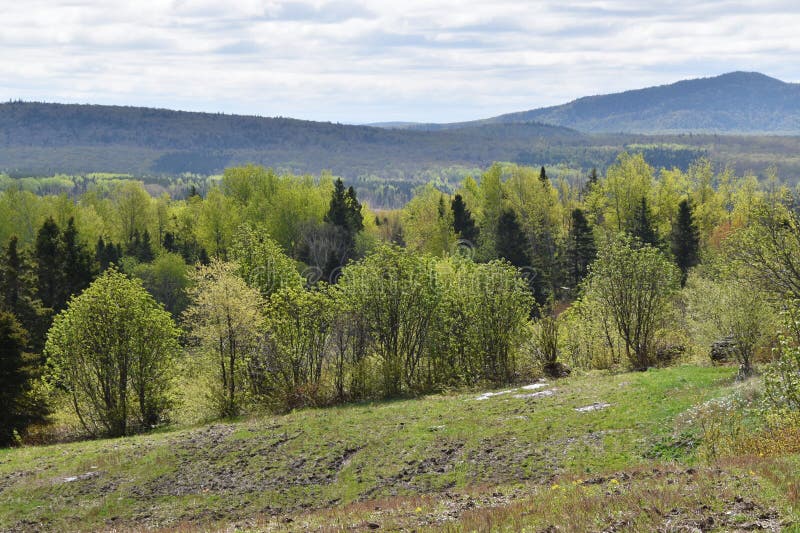 A field in spring stock photo. Image of autumn, field - 354978812
