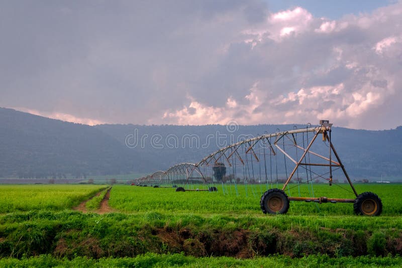 Field Sprinkle stock image. Image of mood, hulla, cloudy - 77444157