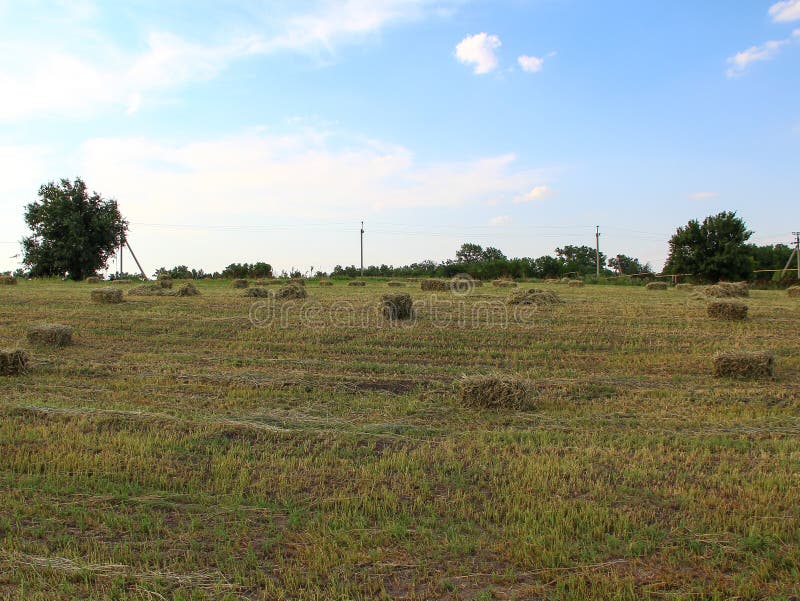 Field with Square Sheaves of Hay Stock Photo - Image of countryside ...