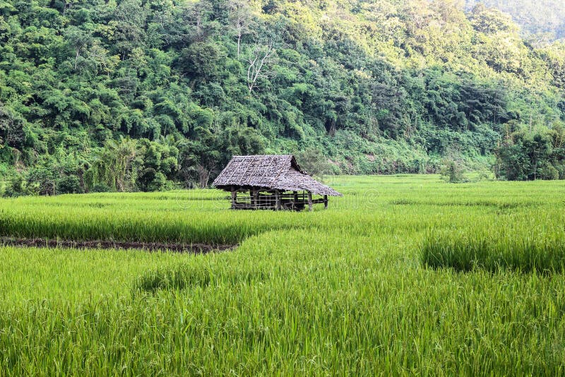 Field step and hut stock image. Image of culture, rural - 27132715