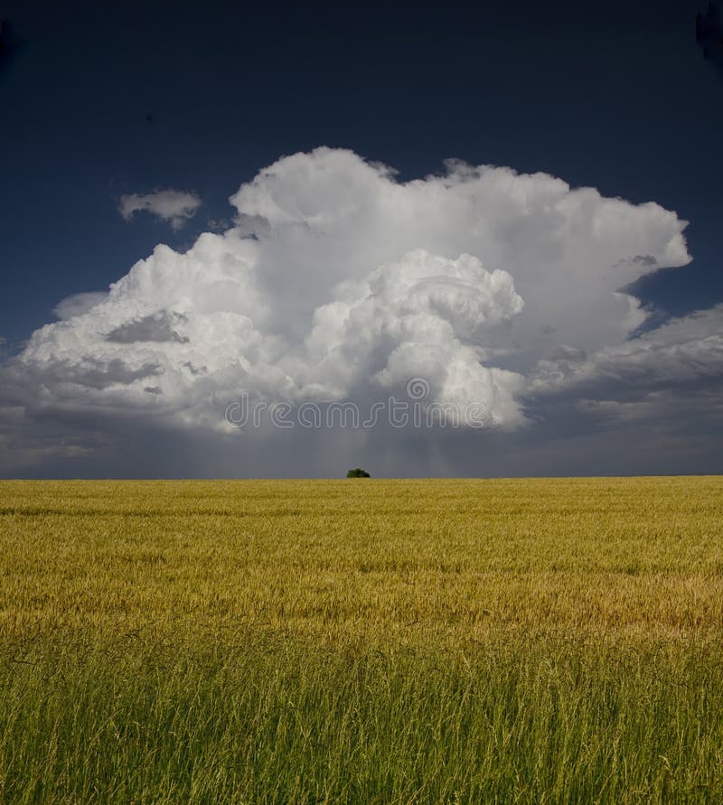 Spring storm stock image. Image of field, blue, agriculture - 5252667