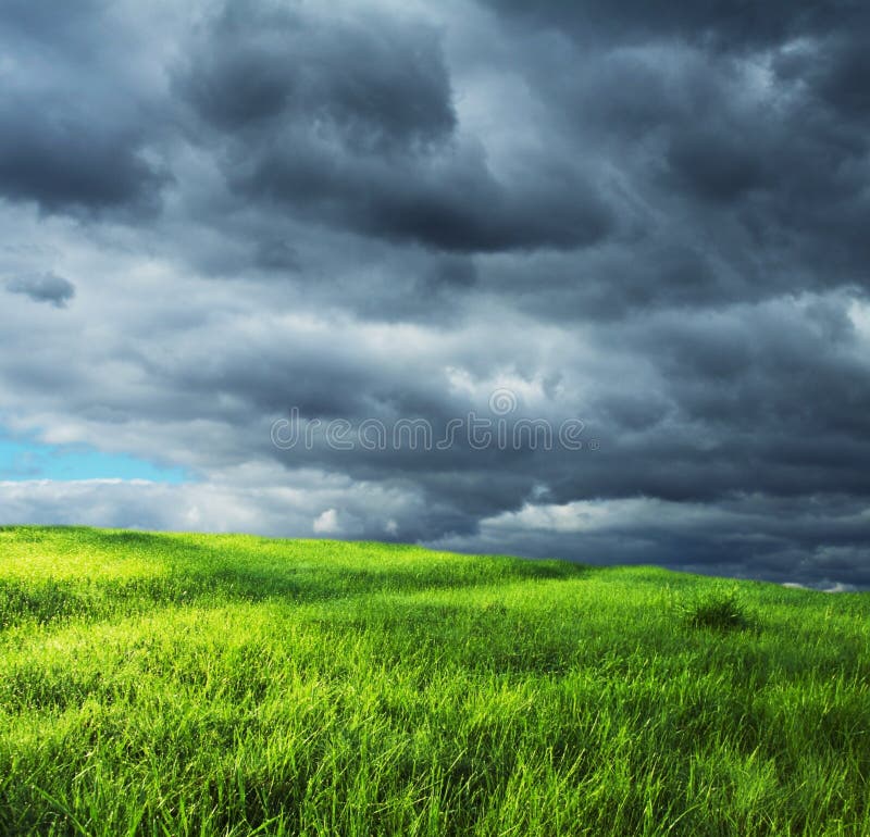 Field and storm clouds stock image. Image of flour, beautiful - 2779929