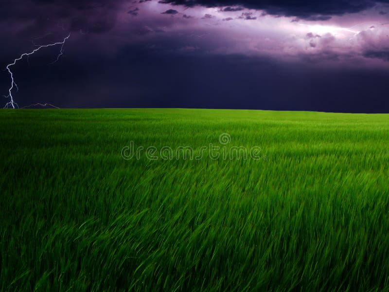 Field and Storm Clouds stock photo. Image of meads, environment - 142972566