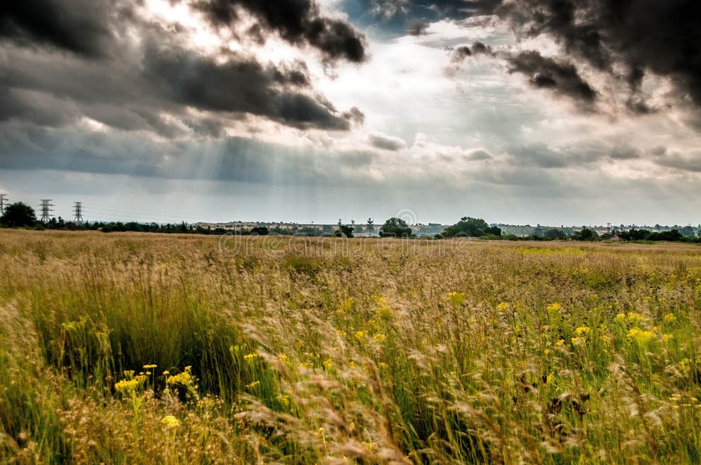 Field before the storm stock image. Image of clouds - 106055405