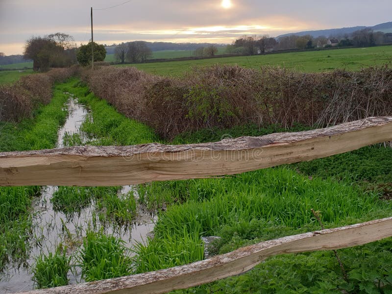 Field Stream stock photo. Image of fence, water, hedges - 144404454