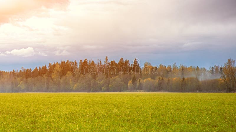 A Field Strewn with Grass and Forest. Autumn Landscape Stock Image ... A Field Strewn with Grass and Forest. Autumn Landscape Stock Image ...