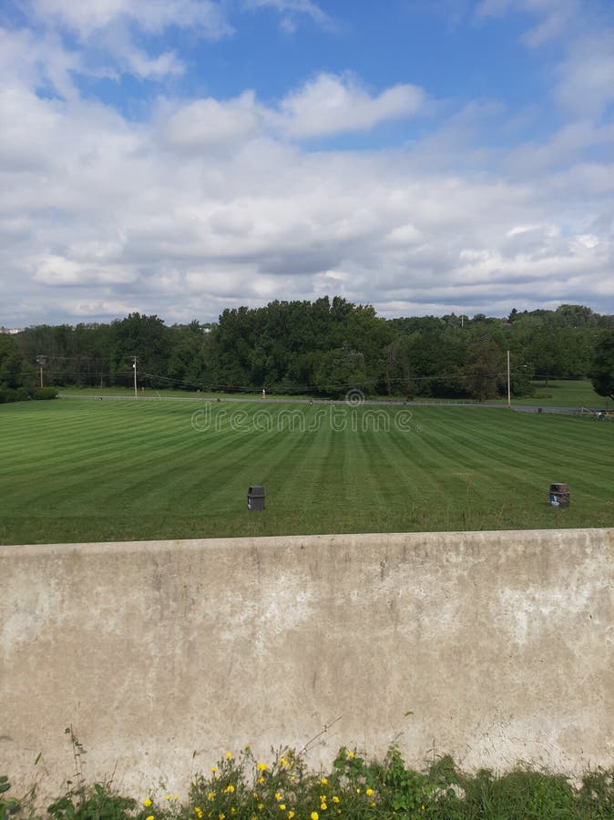 Field of stripes stock photo. Image of grass, wall, leaf - 262136032