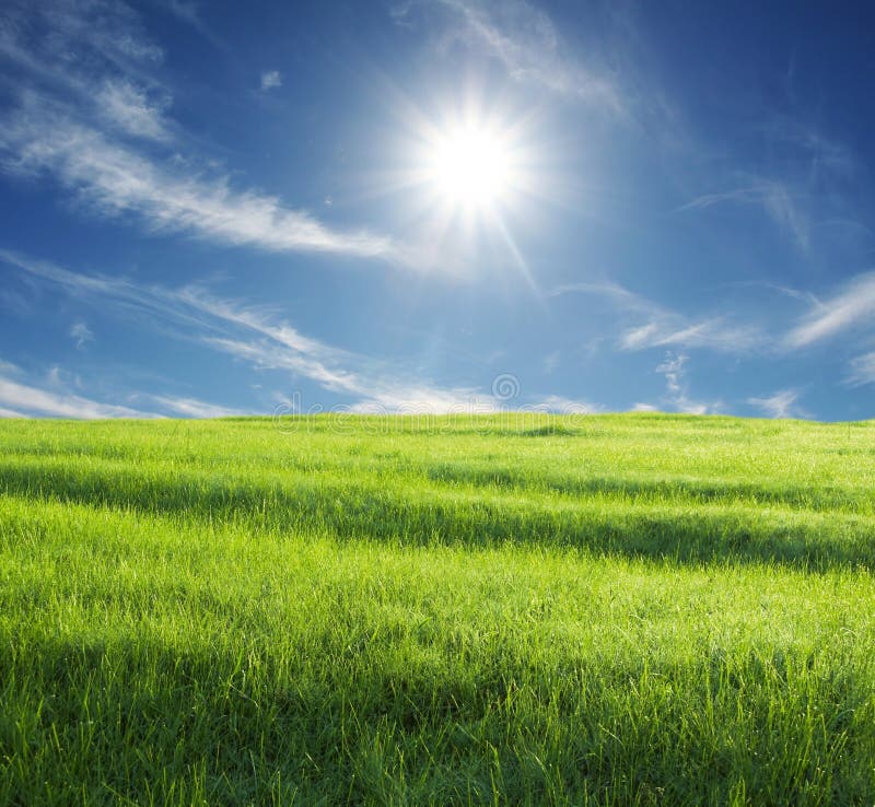 Field and sun stock photo. Image of healthy, pure, green - 4058652