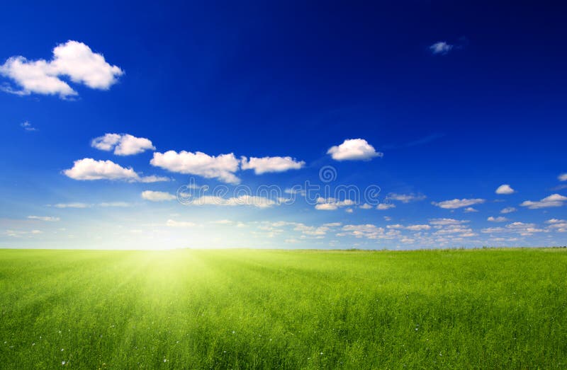 Field and sun stock photo. Image of clouds, beautiful - 7724008