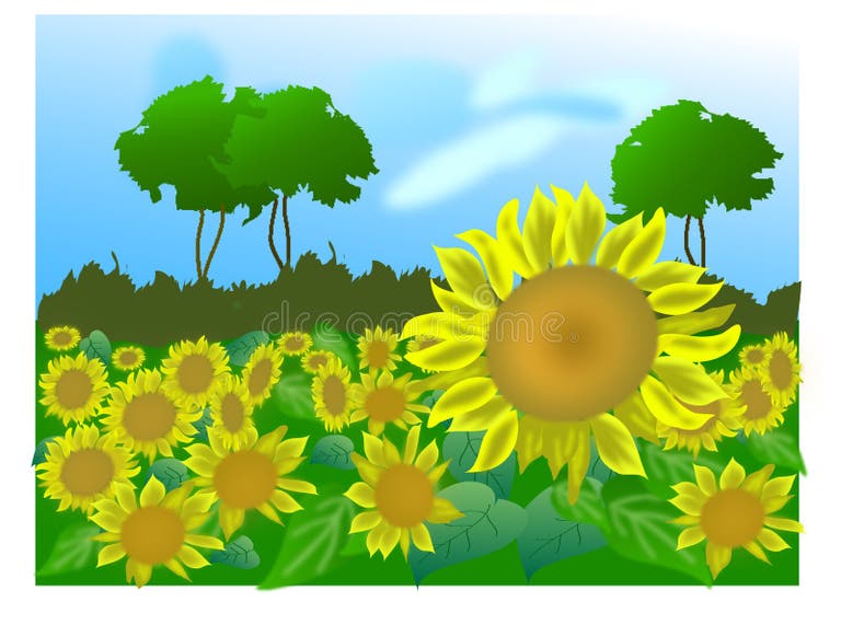 Beautiful Sunflowers Field Stock Illustrations – 10,125 Beautiful Sunflowers Field Stock ...