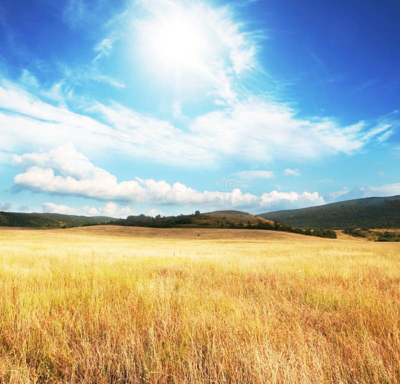 Field stock image. Image of landscape, sunny, harvest - 54168627
