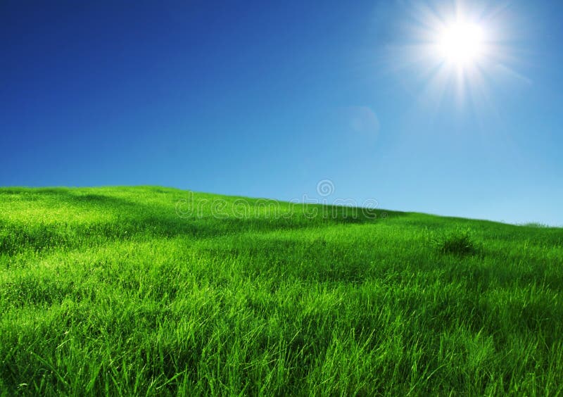 Field and sunny sky stock image. Image of spring, natural - 4489159