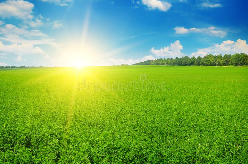 Field and Sunrise in the Blue Sky Stock Image - Image of cloudy, blue ...