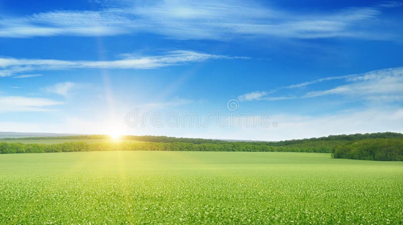 Field, Sunrise and Blue Sky Stock Photo - Image of cloud, landscape ...