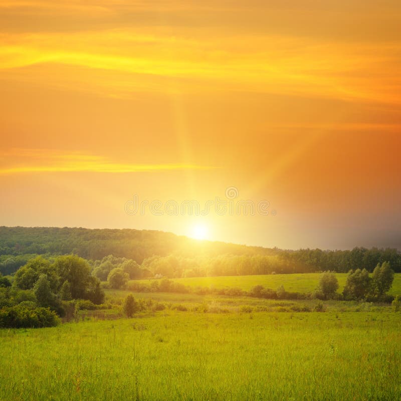 Field, Sunrise and Blue Sky Stock Photo - Image of grass, land: 73476170