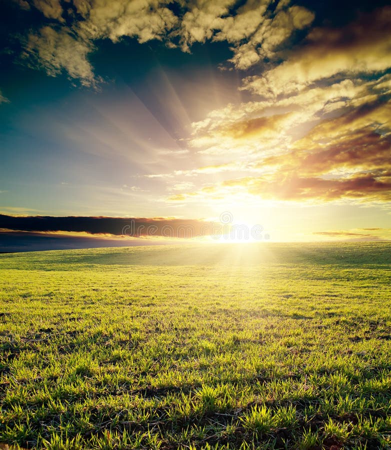 Grass field sunset stock photo. Image of clean, field - 7692132