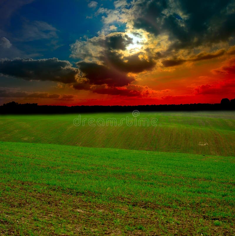 Field at sunset stock photo. Image of clouds, cloudscape - 27951412