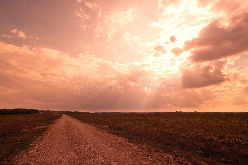 Field during sunset stock image. Image of gravel, landscape - 3362737