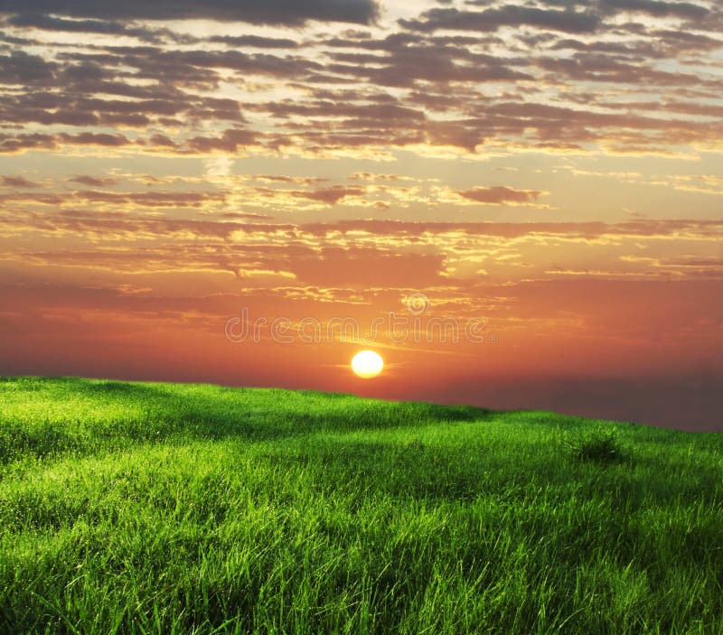 Field on sunset stock photo. Image of land, autumn, field - 6619366
