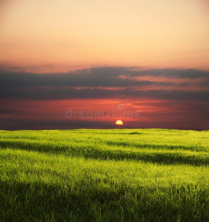 Field on sunset stock image. Image of meadow, country - 4486323