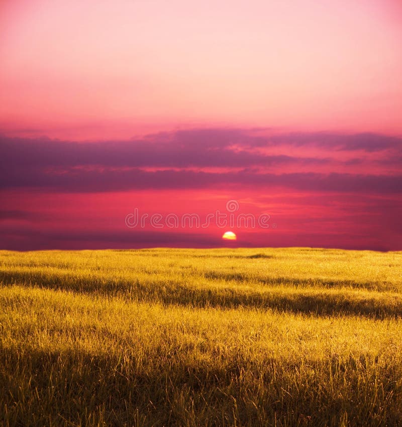 Field on sunset stock photo. Image of land, autumn, field - 6619366