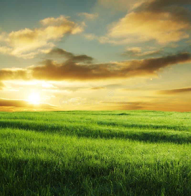 Field on sunset stock photo. Image of land, autumn, field - 6619366