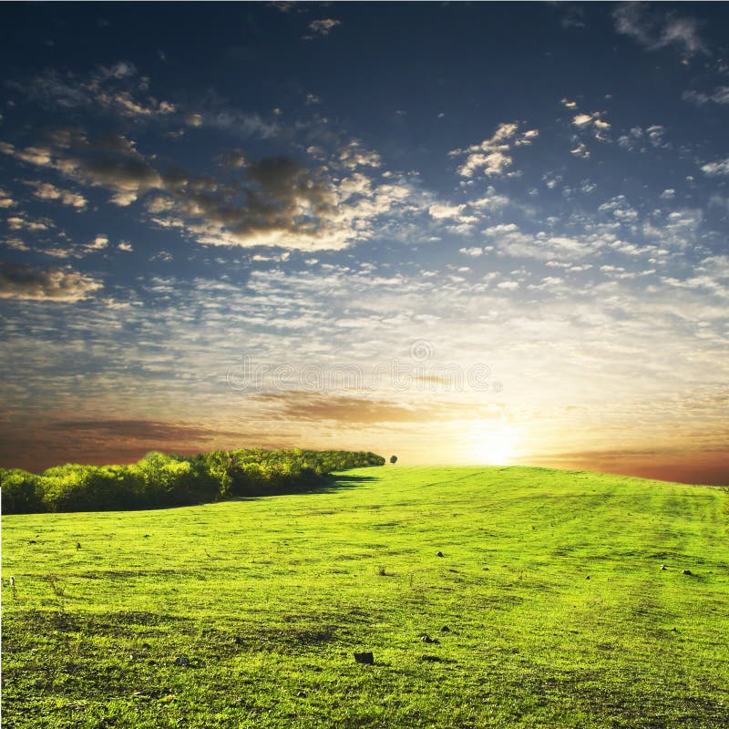 Field on sunset stock photo. Image of land, autumn, field - 6619366