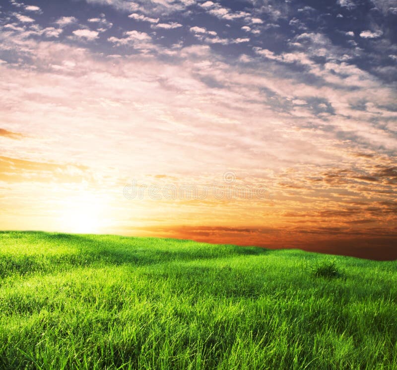 Green Field and Beautiful Sunset Stock Photo - Image of meadow, farm ...